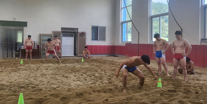 2023년 제104회 전국체육대회 스포츠건강관리학과 씨름부 선전을 기원합니다 스포츠건강관리학과 세한대학교